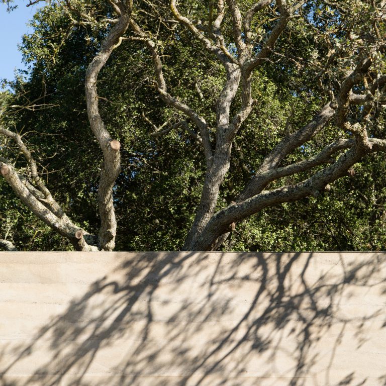 Home - Aidlin Darling Design