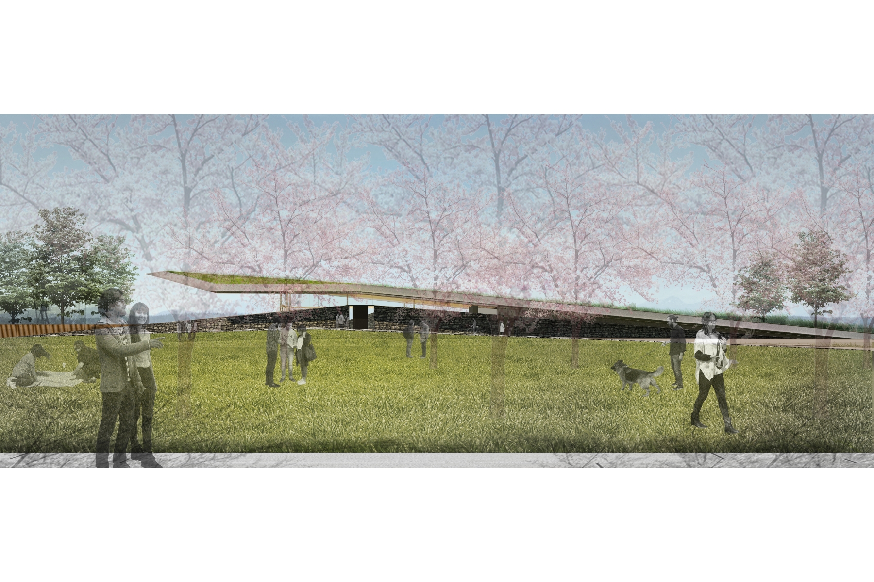 The Prow - Aidlin Darling Design