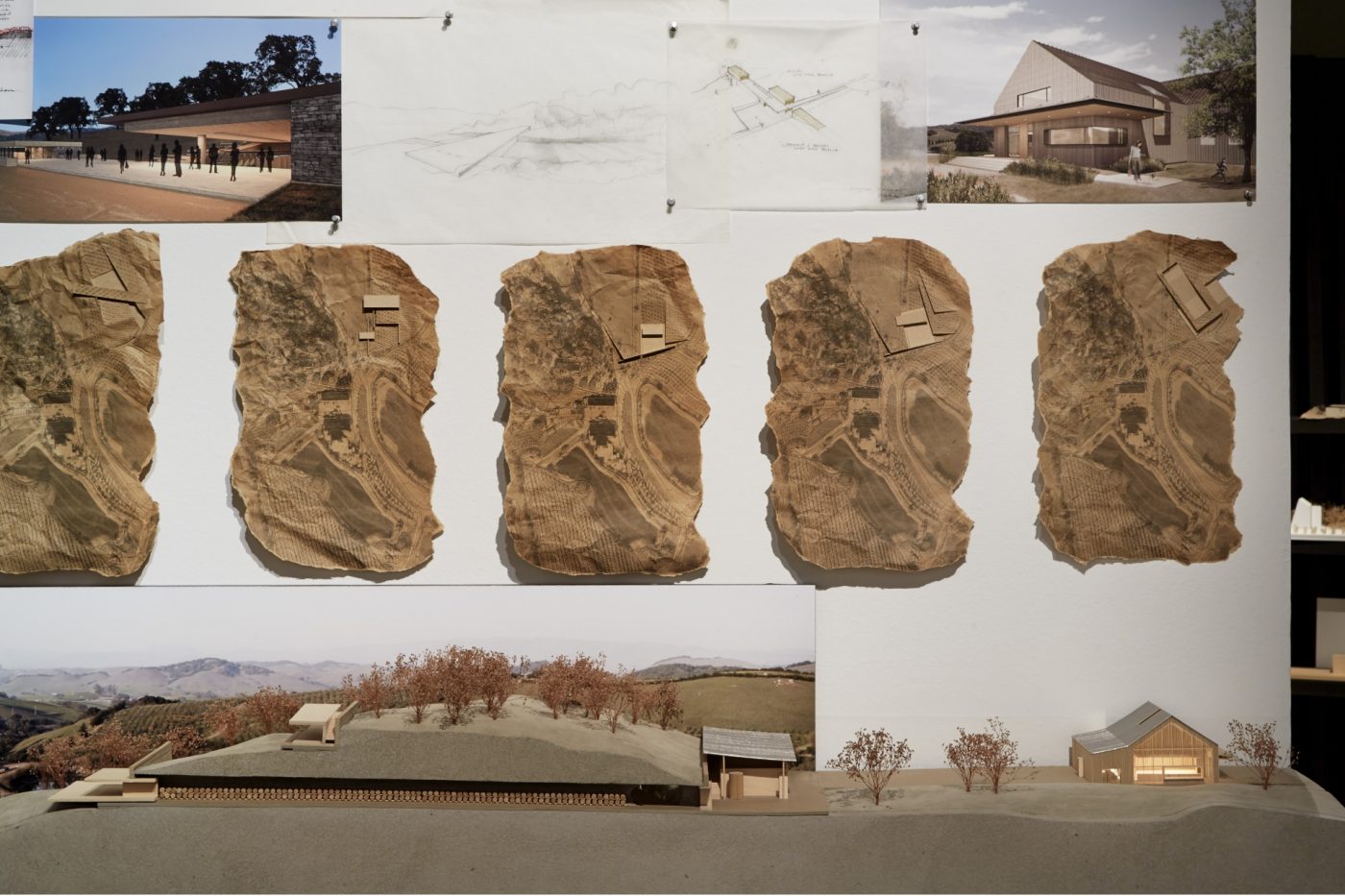 Site & Senses Exhibition - Aidlin Darling Design