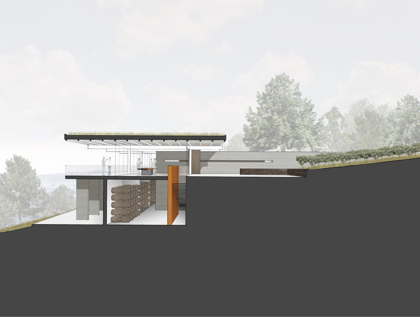 Scribe Winery Master Plan - Aidlin Darling Design