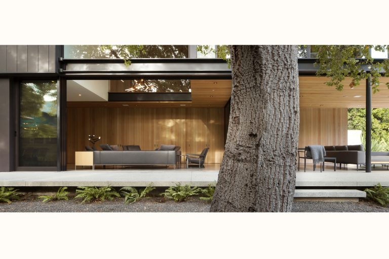 Tree House - Aidlin Darling Design