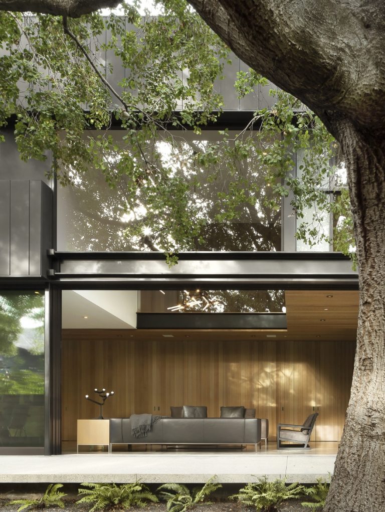 Tree House - Aidlin Darling Design