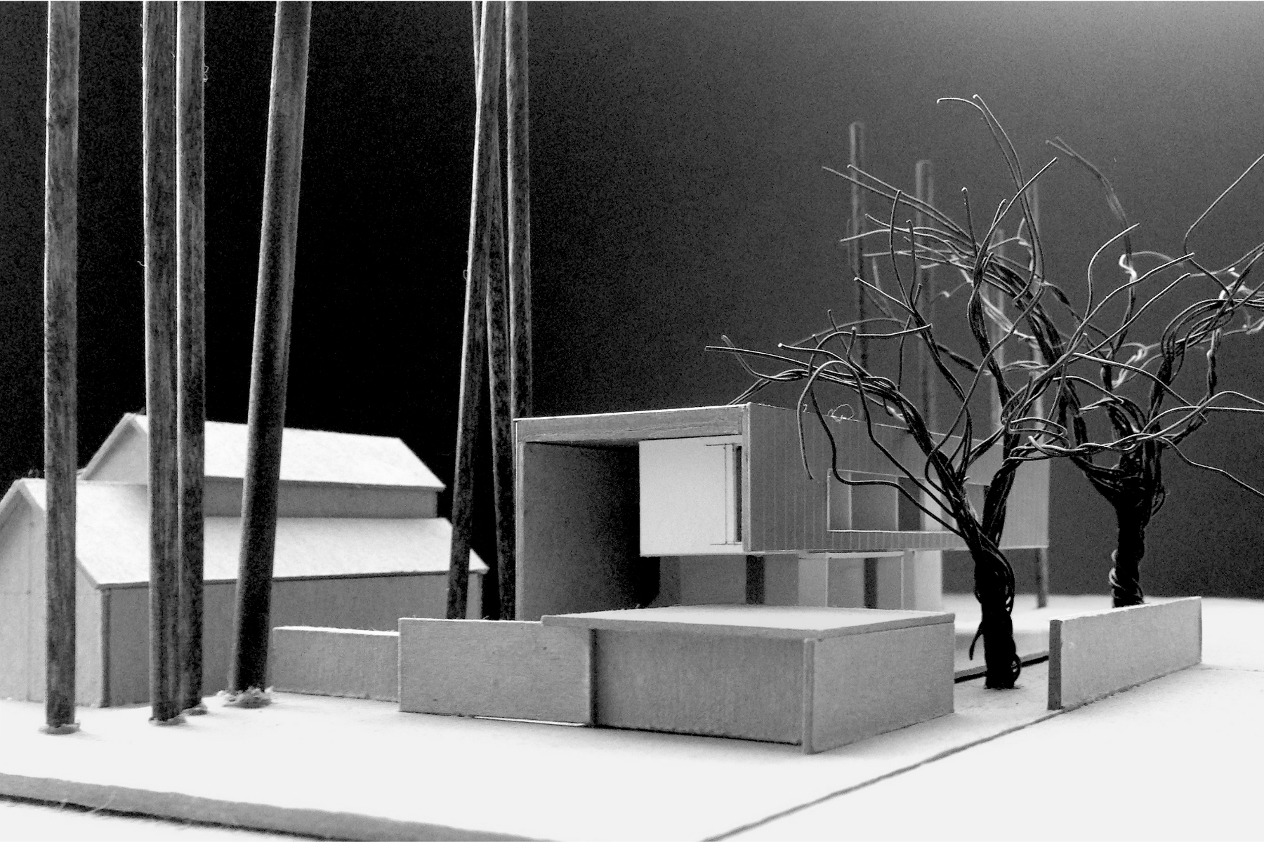 Tree House - Aidlin Darling Design