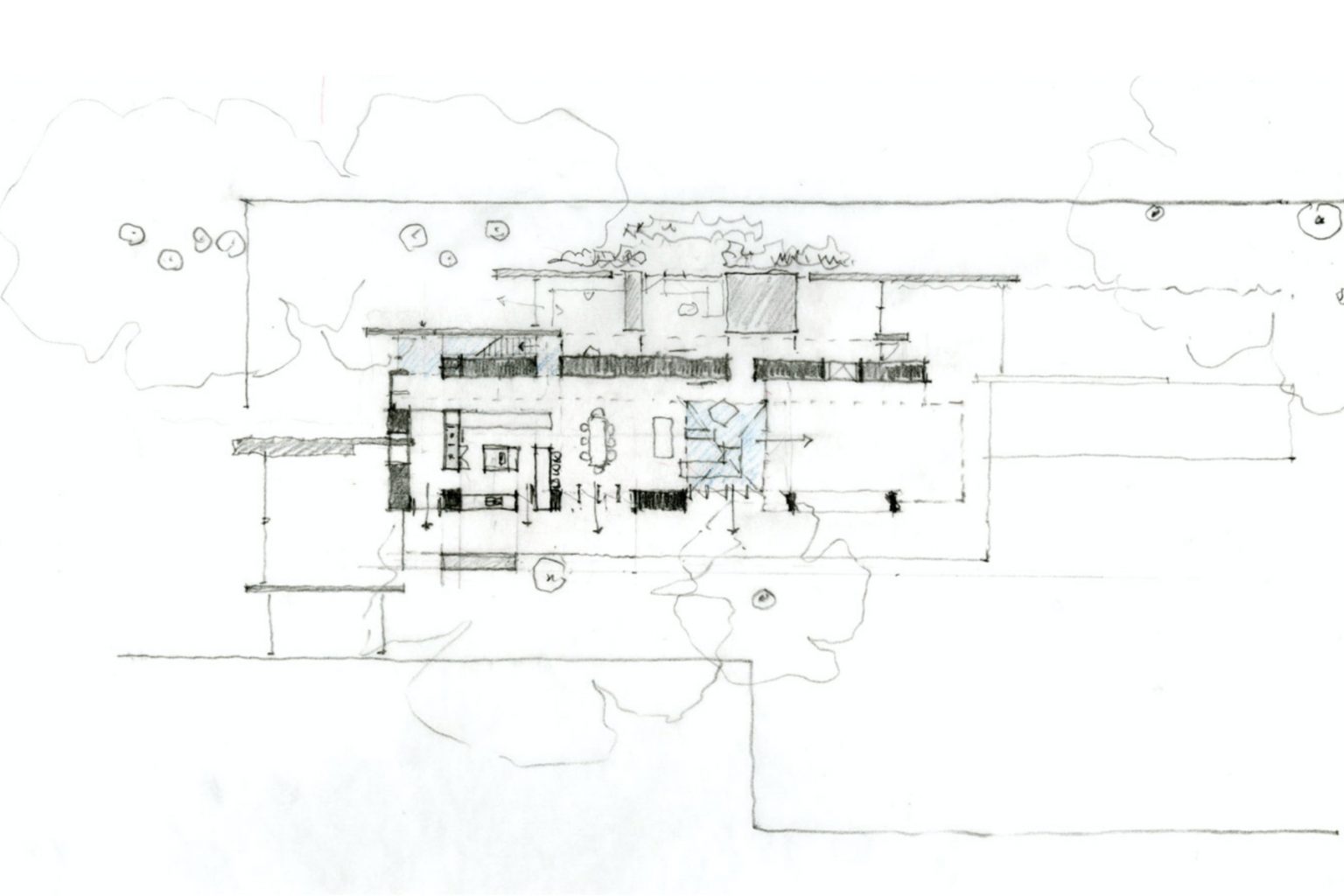 Tree House - Aidlin Darling Design