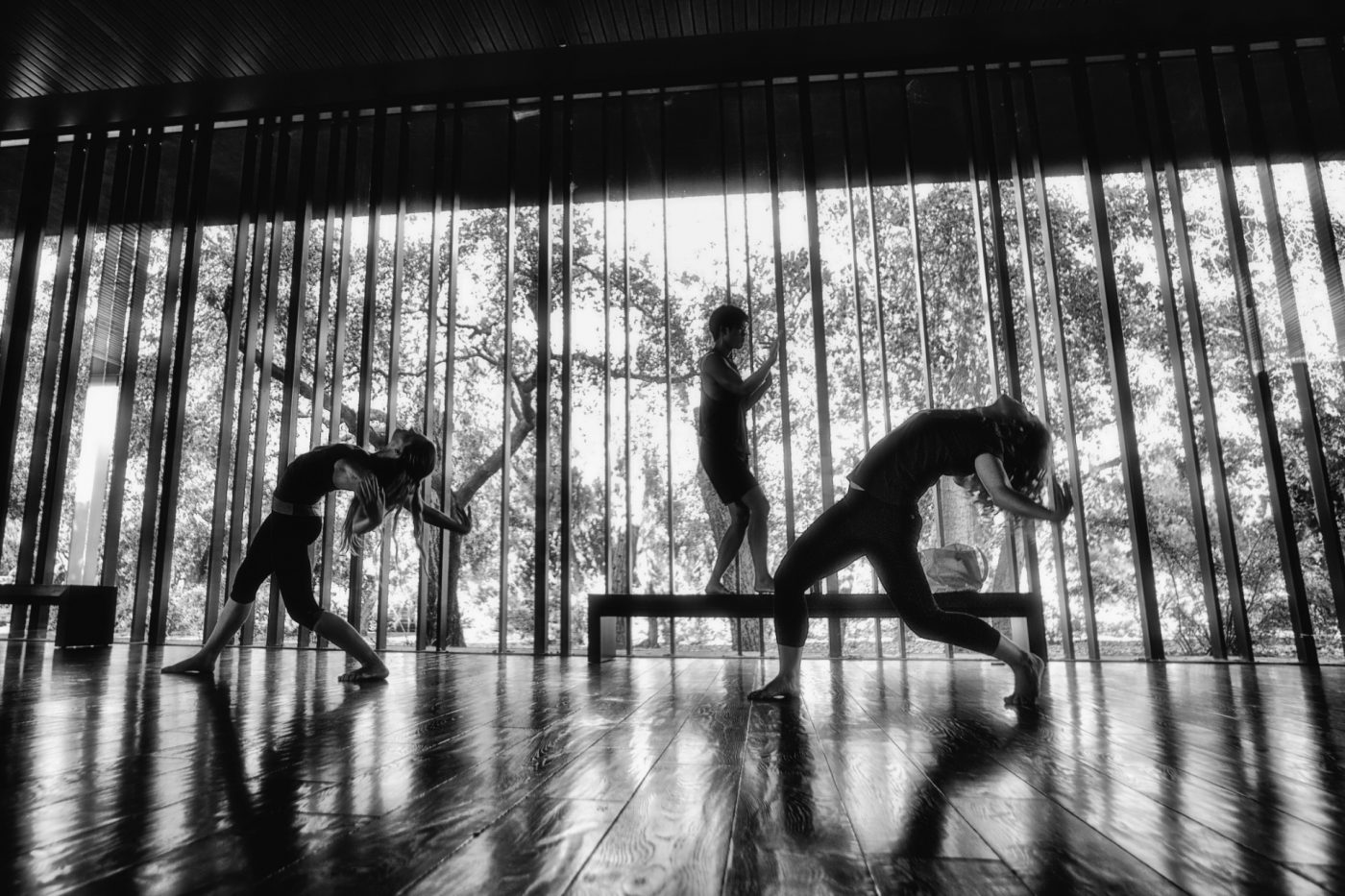 Windhover Contemplative Center - Aidlin Darling Design