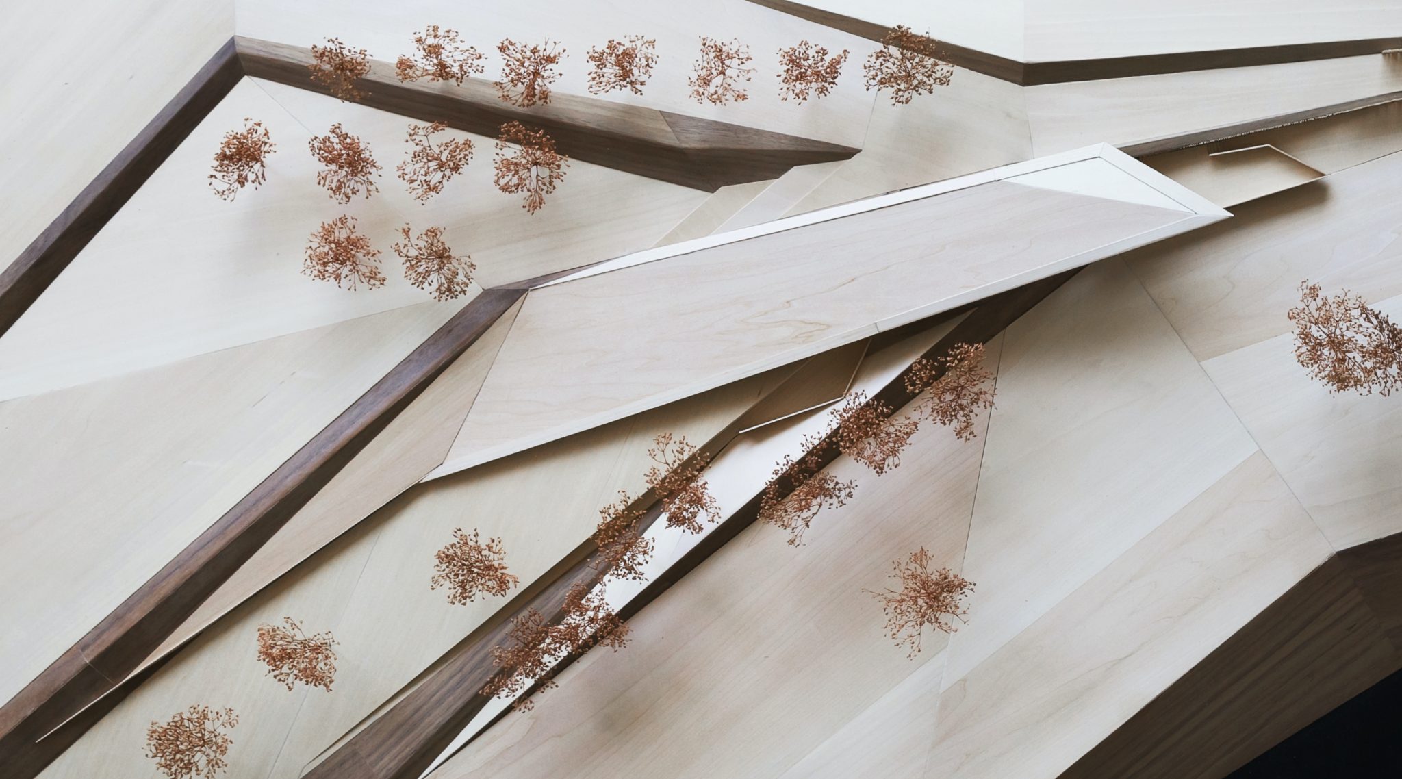 About - Aidlin Darling Design