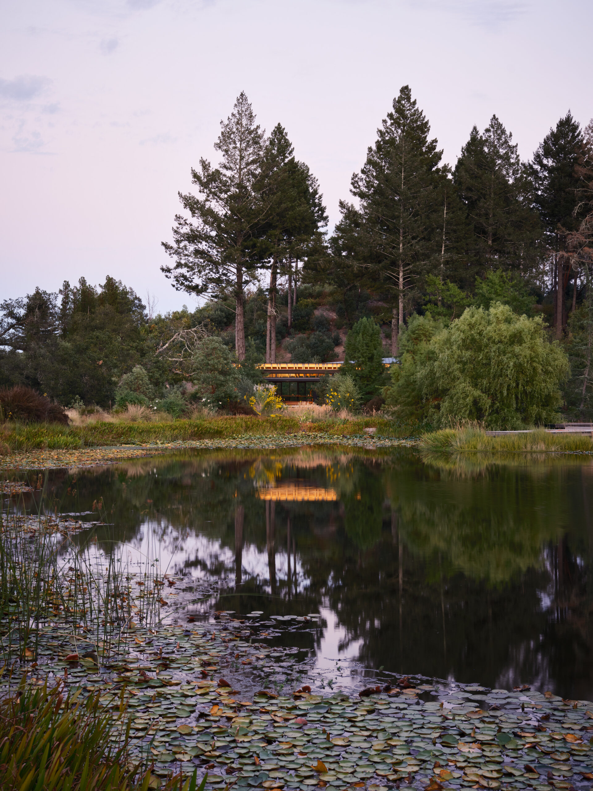 Pavilion for Music and Meditation - Aidlin Darling Design